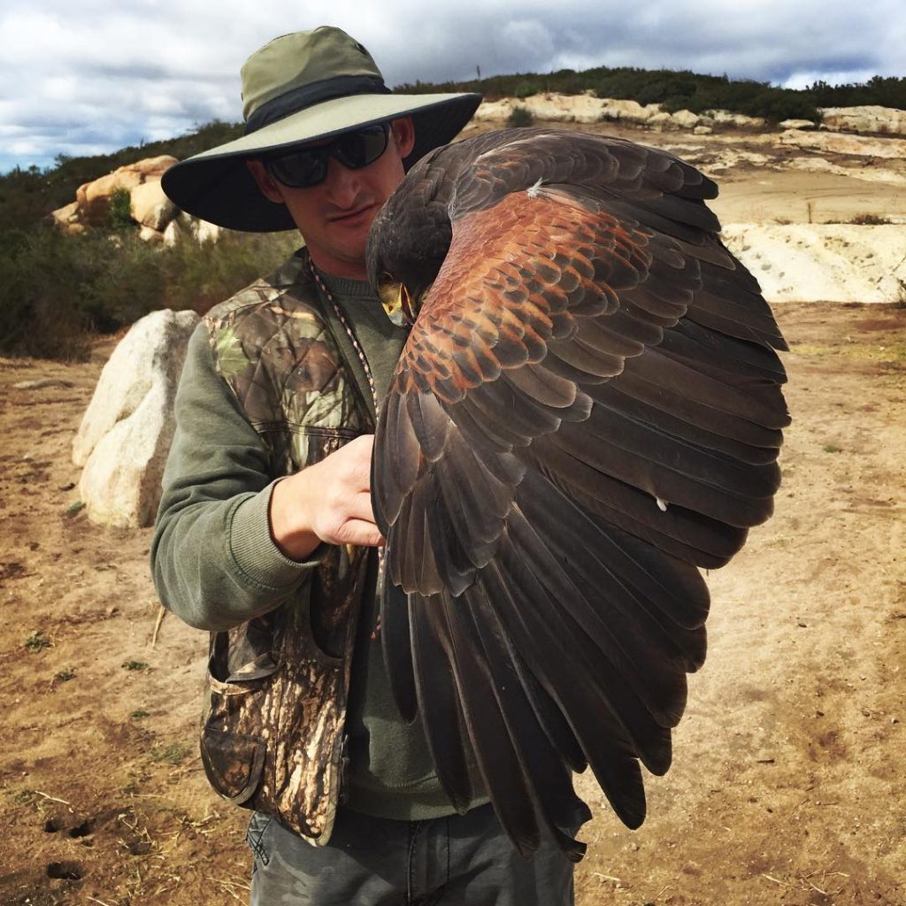 About | Sky Falconry