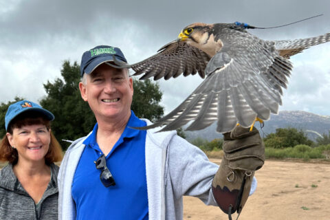 Classes | Sky Falconry