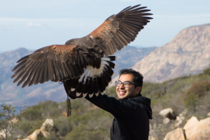 Classes | Sky Falconry