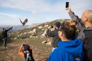 Classes | Sky Falconry