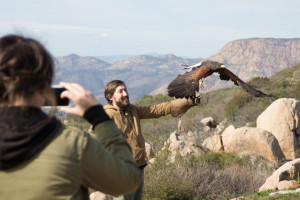 Classes | Sky Falconry