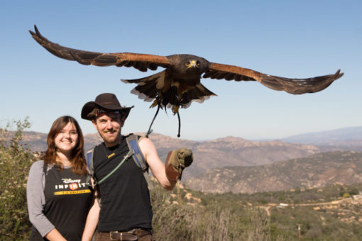 Classes | Sky Falconry